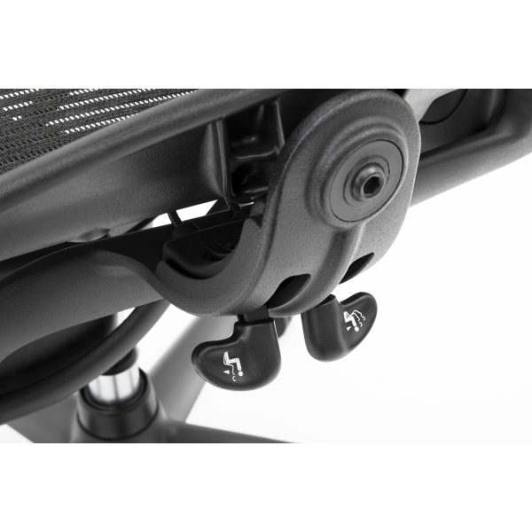 Fully Loaded Aeron size B (with lumbar support) - London Aerons